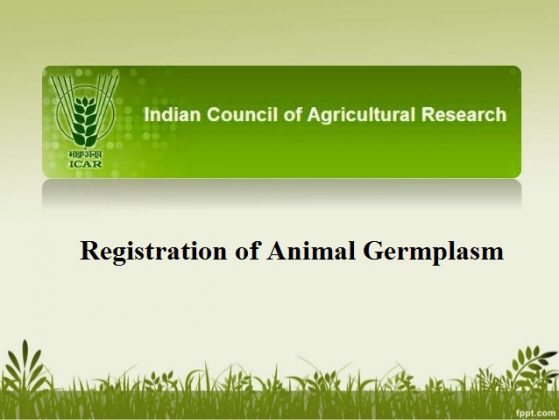 Awards for Nine New Germplasm of Indigenous Farm Animals Registered as ...