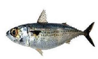 Current Affairs Today – October 6 2016