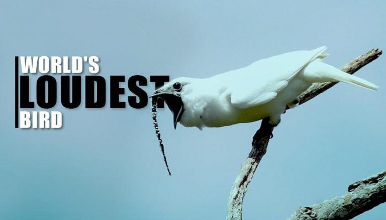 Current Affairs October 23 2019