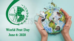 World Pest Day 2020: June 6