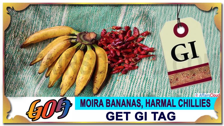 Goa’s Moira bananas, Harmal Chillies, Khaje gets GI tag