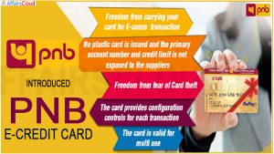 Punjab National Bank Introduced PNB e-Credit Card