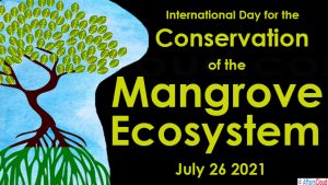 International Day for the Conservation of the Mangrove Ecosystem 2021 ...