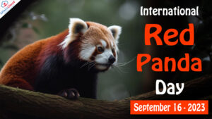 International Red Panda Day 2023 - September 16