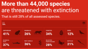 IUCN Released Updated Red List of Threatened Species at COP28