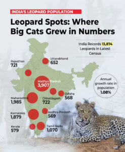 “Status of Leopards in India”: Number of leopards in India Increased by ...